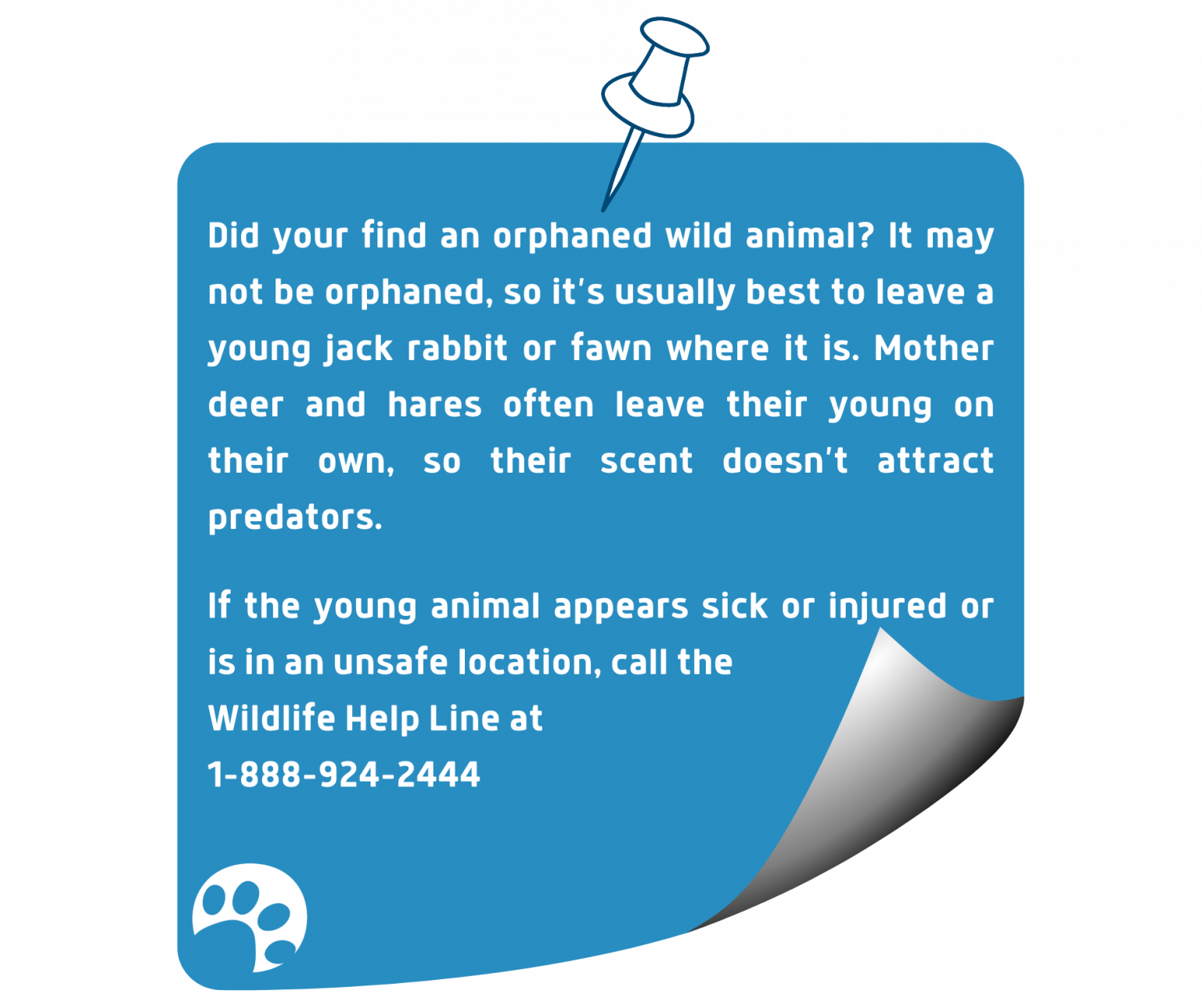 Report Animal Cruelty – Central Alberta Humane Society