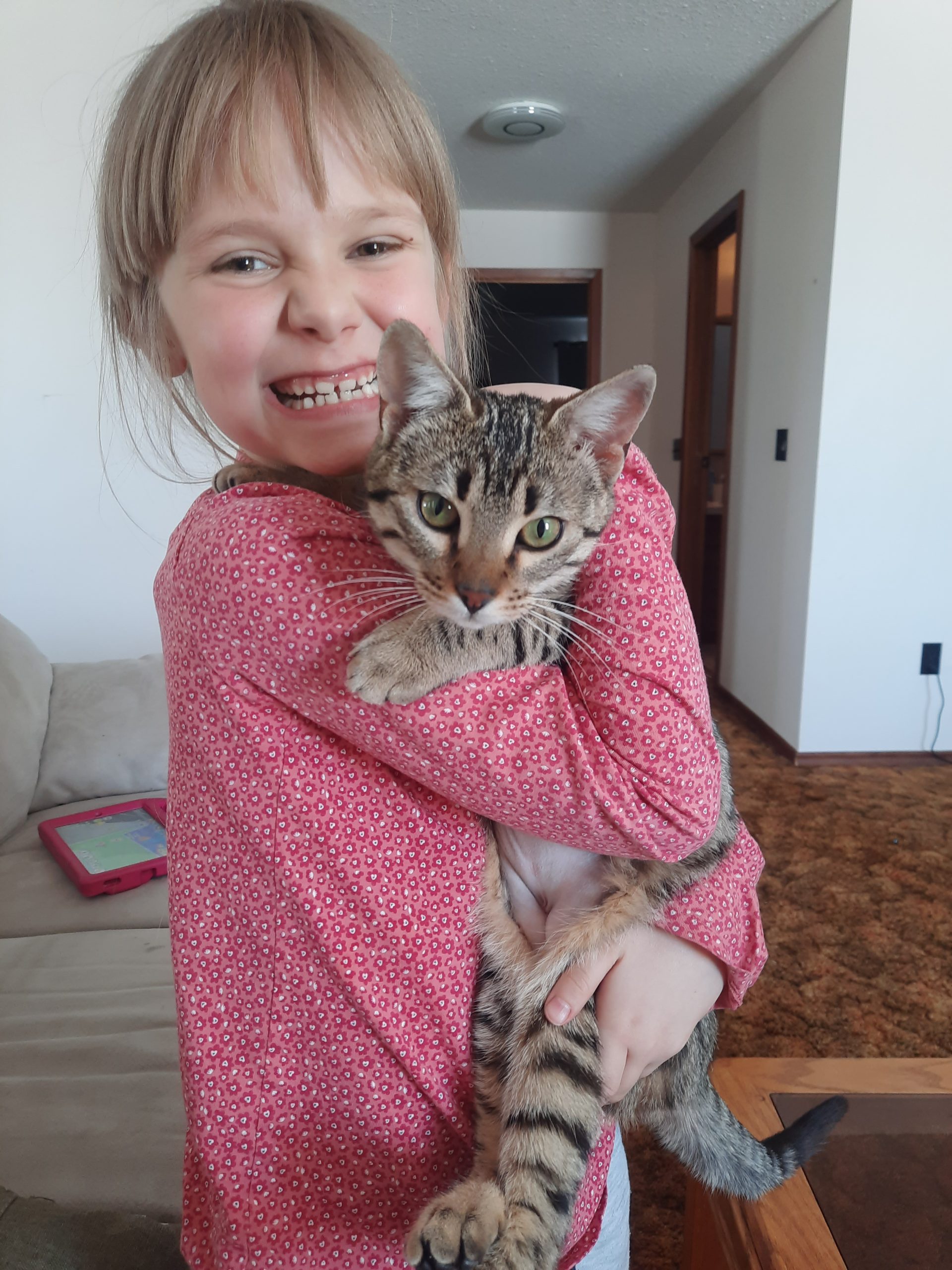 Luna - Central Alberta Humane Society