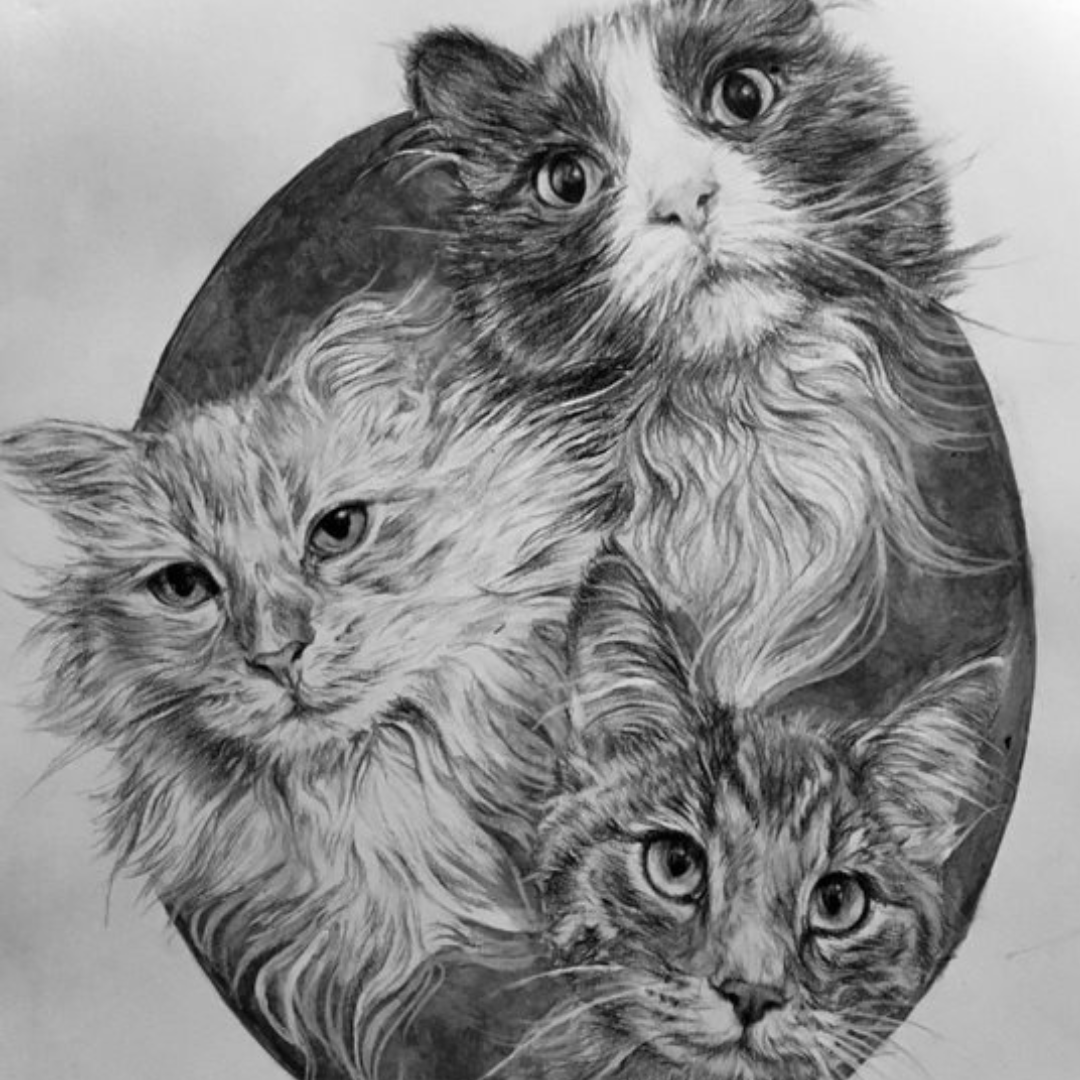 SHOP - Central Alberta Humane Society